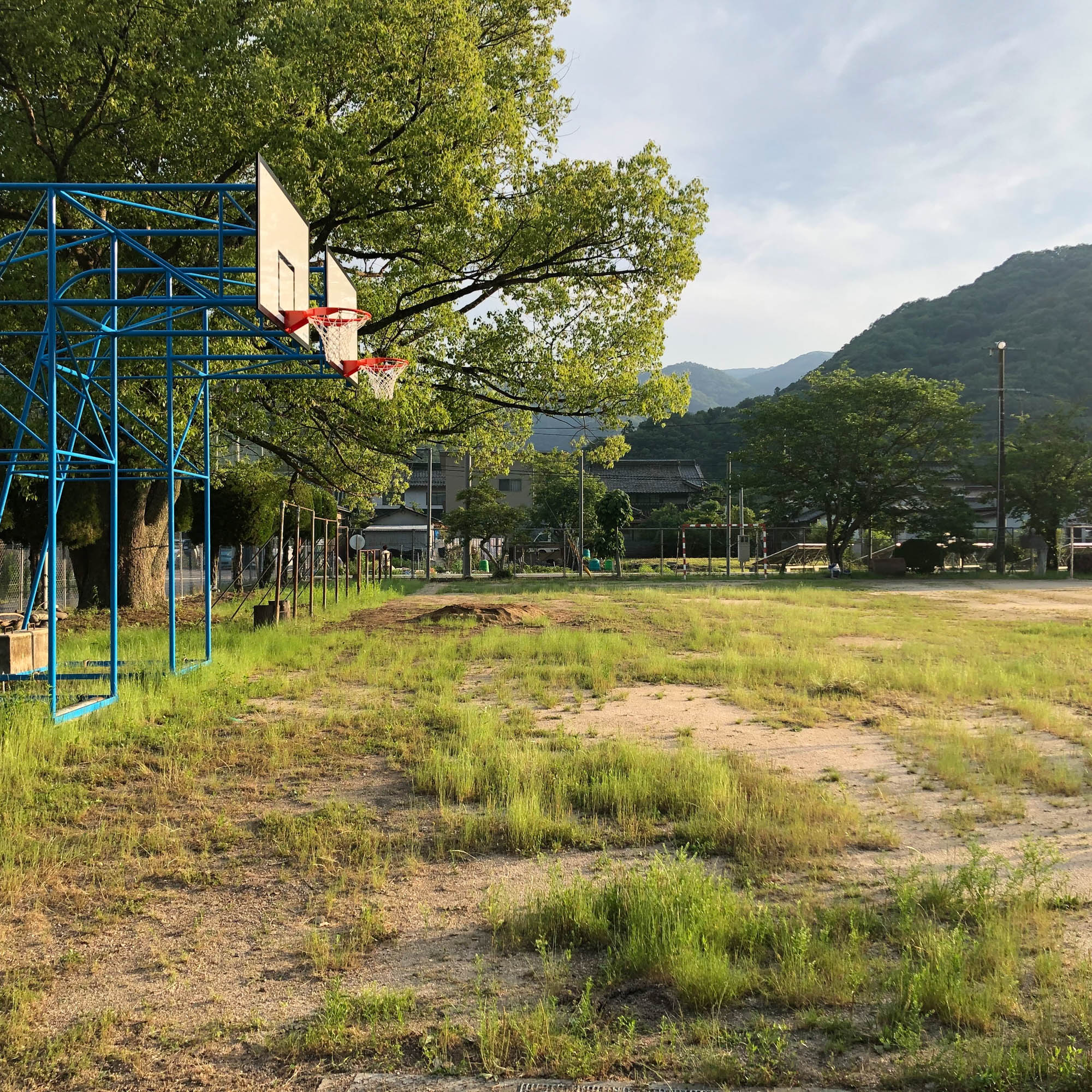 岡山県立大学畠研究室 HATA LABORATORY